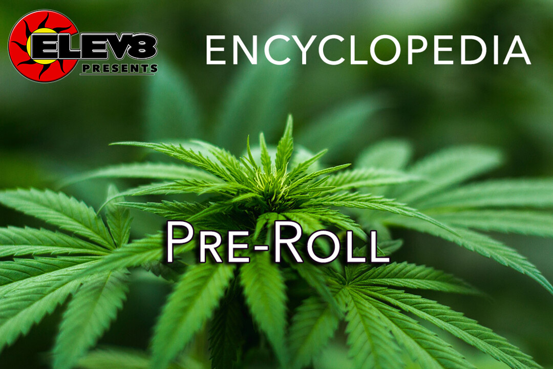 Pre-Roll – Elev8 Presents